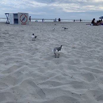 ATLANTIC CITY BEACH AND BOARDWALK - Updated July 2024 - 1547 Photos ...
