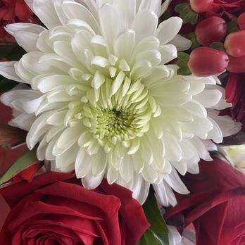 ED MOORE FLORIST - Updated December 2025 - 164 Photos & 121 Reviews ...