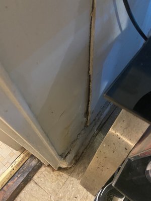 TM ASSOCIATES MANAGEMENT - Updated January 2026 - 1375 Piccard Dr ...