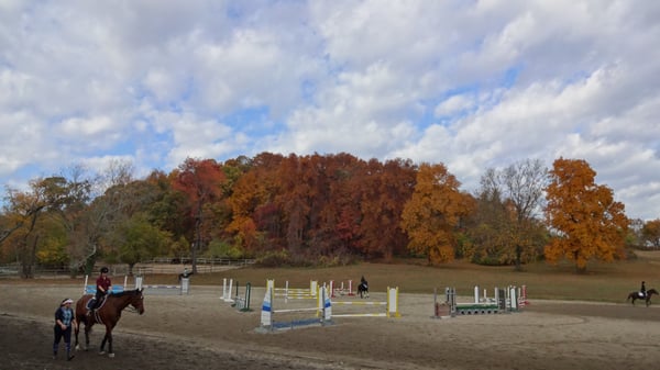 STANHOPE STABLES - Updated December 2025 - 7 Downs Rd, Huntington, New ...