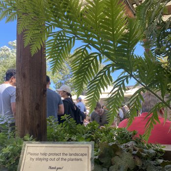 HOOK FISH AT PROOF LAB BEER GARDEN - Updated May 2024 - 737 Photos ...