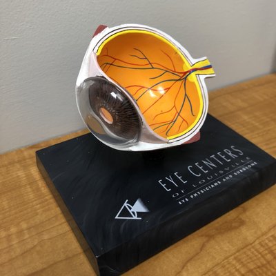 VISIONFIRST - Updated November 2025 - 22 Reviews - 4202 Poplar Level Rd ...