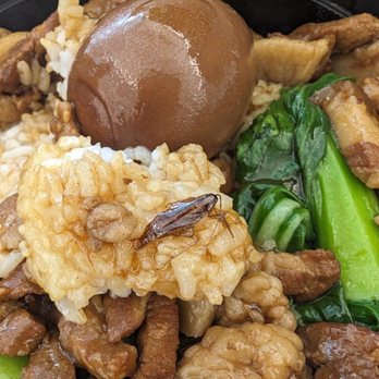 CHEF LIN - Updated December 2025 - 36 Photos & 45 Reviews - 1961 Chain ...