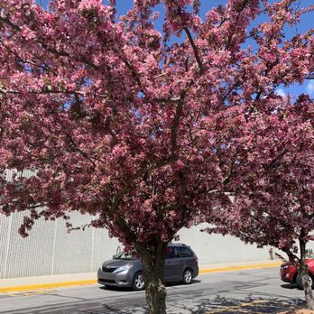 MENARDS - Updated January 2026 - 27 Photos & 13 Reviews - 7702 ...