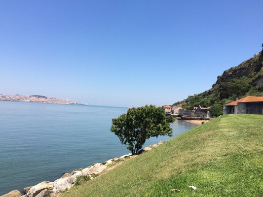 JARDIM DO RIO - 19 Photos - Rua de Almada, Almada, Portugal - Botanical ...