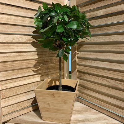 RICE BOX - Updated March 2024 - 44 Photos & 25 Reviews - 320 S Main St ...