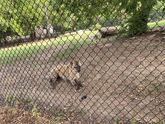 SUNSET ZOO - Updated September 2025 - 46 Photos & 31 Reviews - 2333 Oak ...