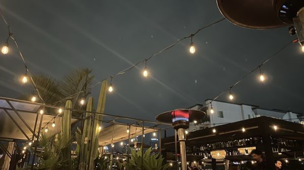 LA CHA CHA CHÁ - Updated September 2024 - 1971 Photos & 818 Reviews ...