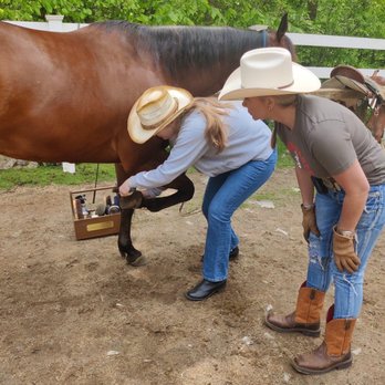 MARTIN FAMILY RANCH - Updated October 2025 - 19 Photos - 417 Candia Rd ...