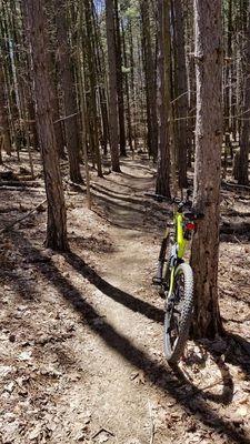 MILL STREAM RUN RESERVATION - Updated May 2025 - 30 Photos ...