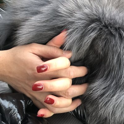 NAIL IMAGINE - 110 Photos & 52 Reviews - 73 Old Dublin Pike, Doylestown ...