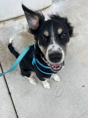 TRI-COUNTY HUMANE SOCIETY OF BOCA RATON - Updated March 2025 - 38 ...