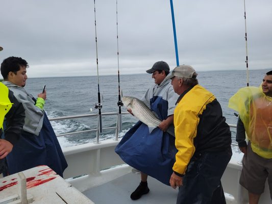 SUNBEAM FLEET - Updated June 2025 - 45 Photos & 14 Reviews - 15 1st St ...