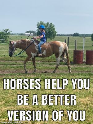 LAKESIDE STABLES - Updated September 2024 - 25918 Waverly Rd, Paola ...