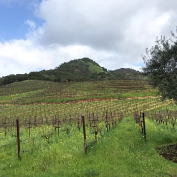 SHAFER VINEYARDS - Updated September 2025 - 176 Photos & 49 Reviews ...