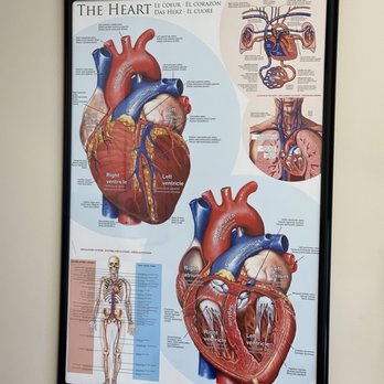 MY CARDIOLOGIST HEART SPECIALISTS OF ORANGE COUNTY - Updated September ...