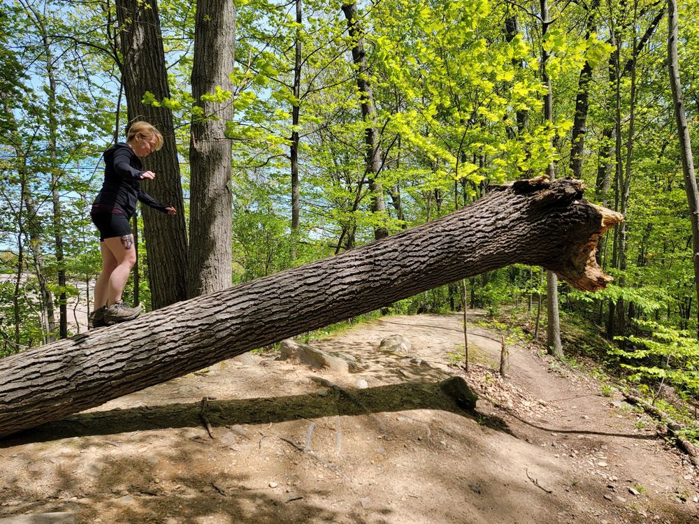 TRYON PARK - Updated July 2025 - 12 Photos & 10 Reviews - Rochester ...