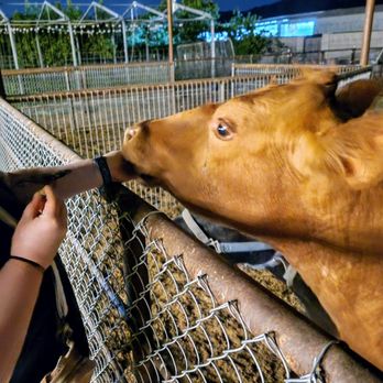 AMADIO RANCH FARM STORE - Updated May 2025 - 225 Photos & 160 Reviews ...