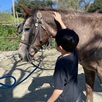 GARROD FARMS RIDING STABLES - Updated May 2025 - 204 Photos & 225 ...
