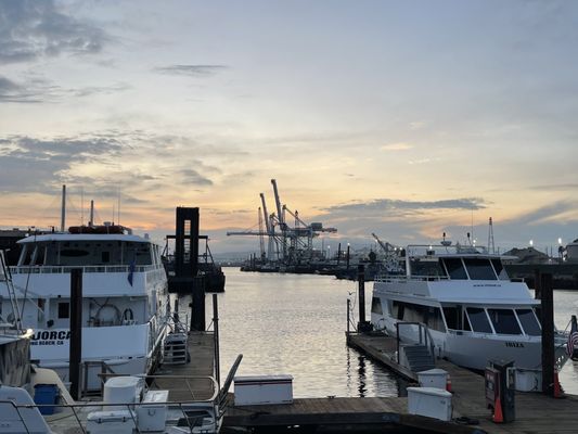 BERTH 55 FISH MARKET AND SEAFOOD DELI - Updated December 2025 - 1714 ...