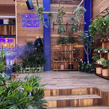 THE MELLOW SF - Updated December 2025 - 97 Photos & 110 Reviews - 3236 ...