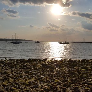 GARVIES POINT MUSEUM & PRESERVE - 71 Photos & 15 Reviews - 50 Barry Dr ...