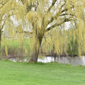 CENTENNIAL PARK - Updated December 2025 - 132 Photos & 18 Reviews - 256 ...