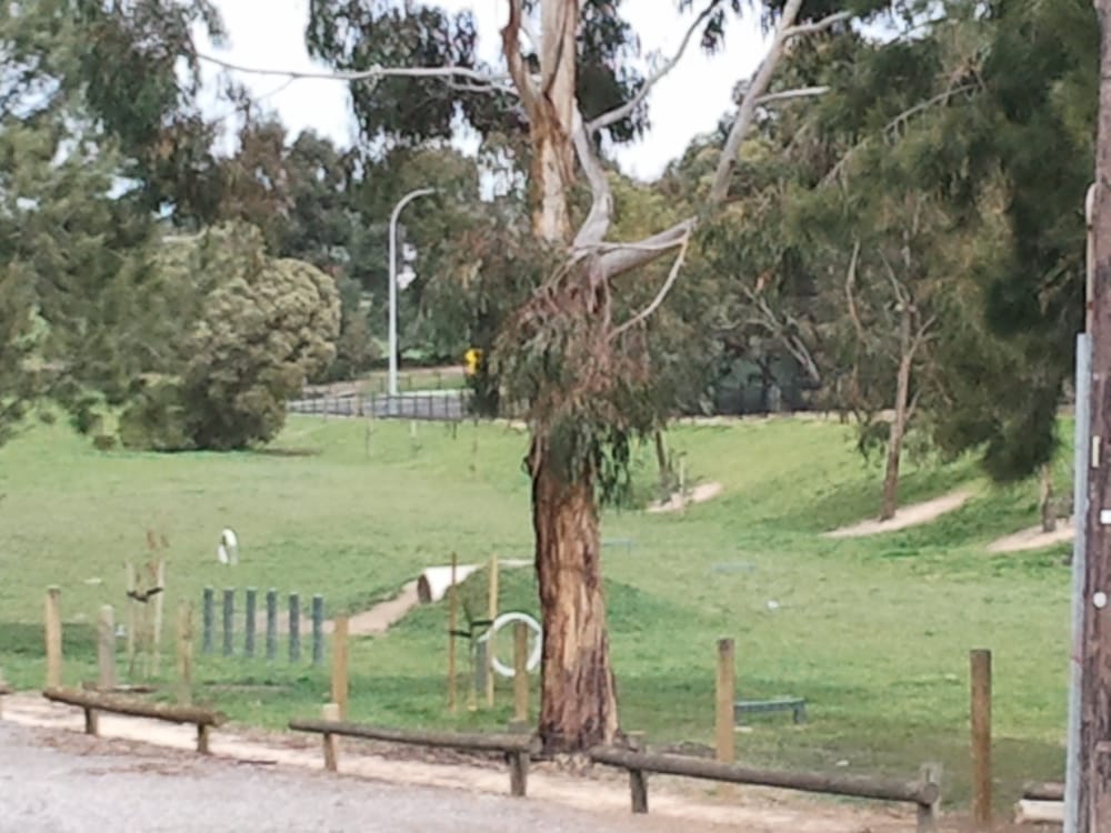 KNOX DOG PARK - Updated January 2025 - Corner of Bunjil Way, Ferntree ...
