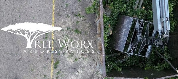 TREE WORX - Updated October 2025 - 21 Photos - 2609 Belle Arbor Ave ...