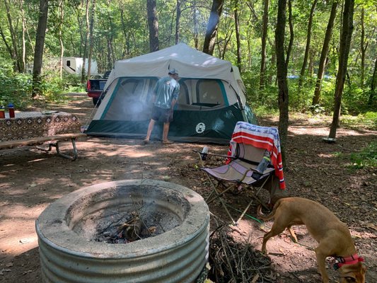FORT CUSTER STATE RECREATION AREA - Updated August 2024 - 16 Photos ...