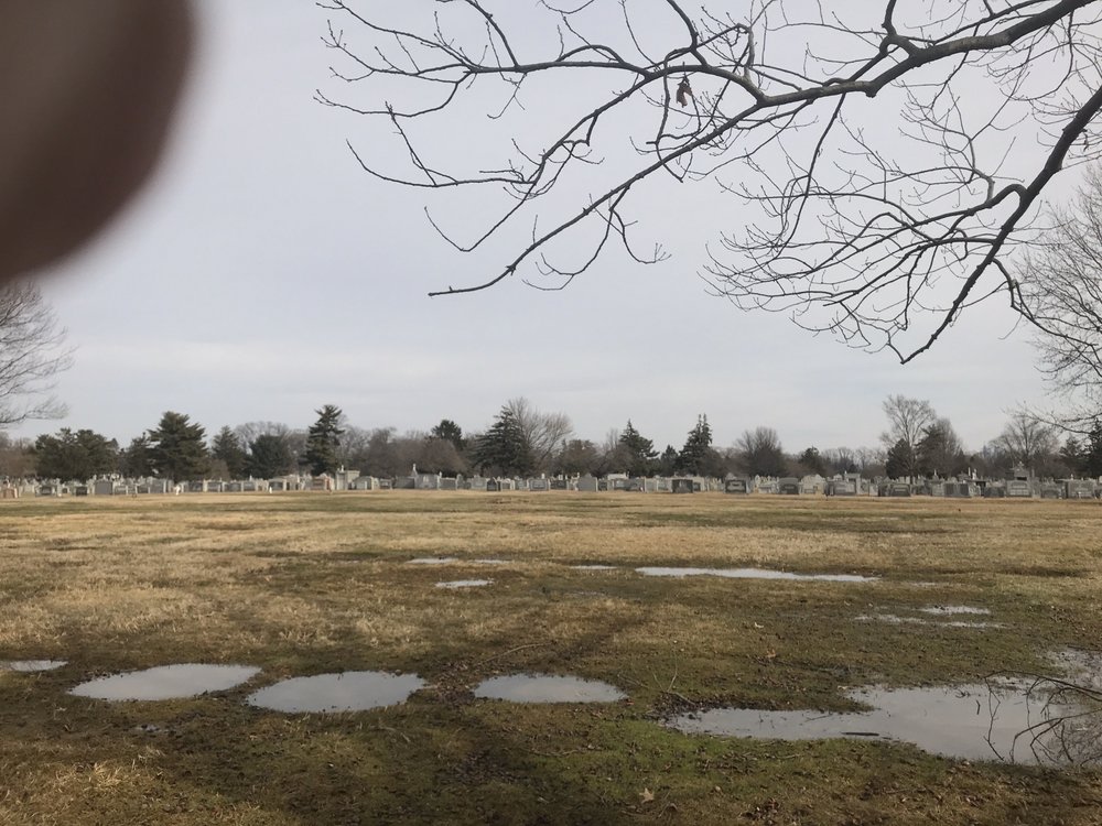 SS. PETER AND PAUL CEMETERY - 15 Photos & 21 Reviews - 1600 S Sproul Rd ...