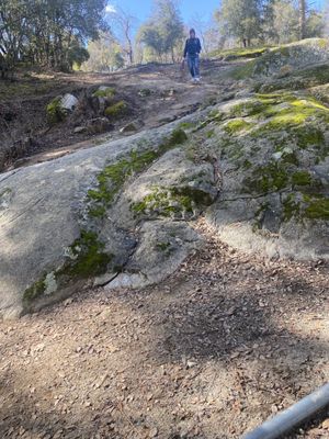 MANZANITA LAKE - 17 Photos - North Fork, California - Lakes - Yelp
