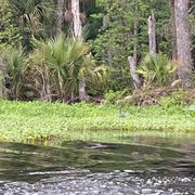 PARRAMORE’S CAMPGROUND - 20 Photos - RV Parks - 1675 Camp South Moon Rd ...