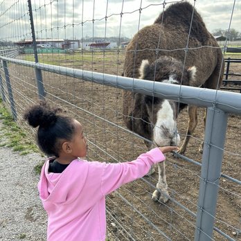 SHARKAROSA WILDLIFE RANCH - Updated January 2026 - 312 Photos & 136 ...