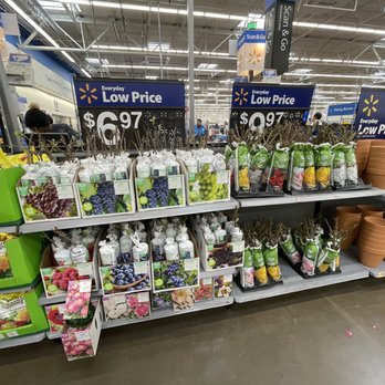 WALMART SUPERCENTER - Updated August 2024 - 102 Photos & 204 Reviews ...