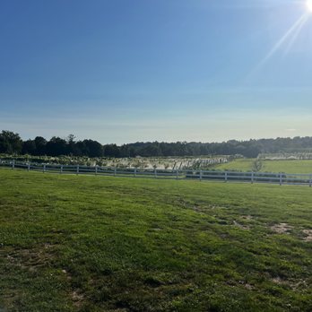 HAWK RIDGE WINERY - Updated March 2025 - 369 Photos & 177 Reviews - 28 ...