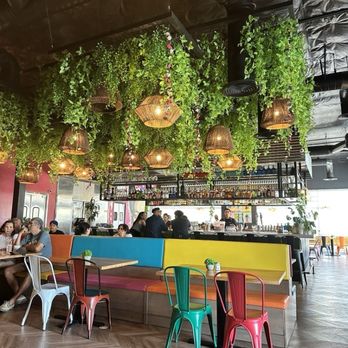 D’POLY TACO GRILL & BEER - Updated July 2025 - 344 Photos & 271 Reviews ...