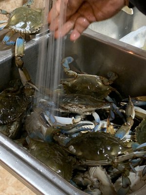 JACKIE’S SEAFOOD MARKET - 71 Photos & 40 Reviews - 5658 University Blvd ...