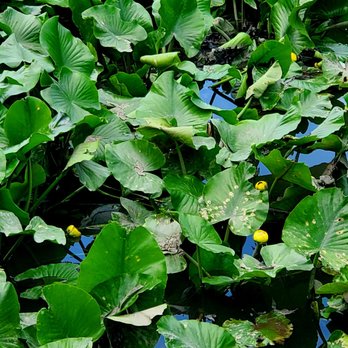 JOSEPH BRYAN PARK - Updated October 2025 - 72 Photos & 31 Reviews ...