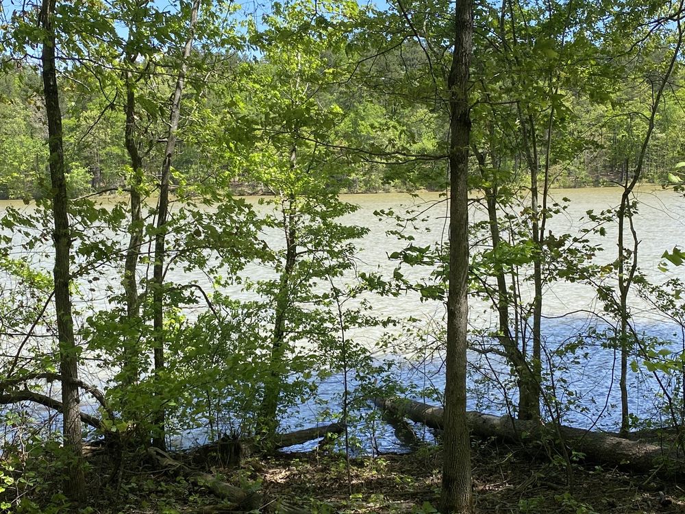 TUGALOO STATE PARK - 36 Photos & 17 Reviews - 1763 Tugalo State Park Rd ...