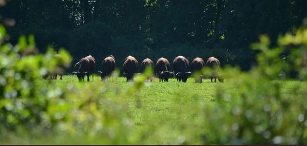 DEVON POINT FARM - Updated November 2024 - 38 Photos & 10 Reviews - 54 ...