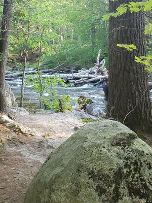 WILDCAT FALLS CONSERVATION AREA - 15 Photos - Hiking - 31 Currier Rd ...