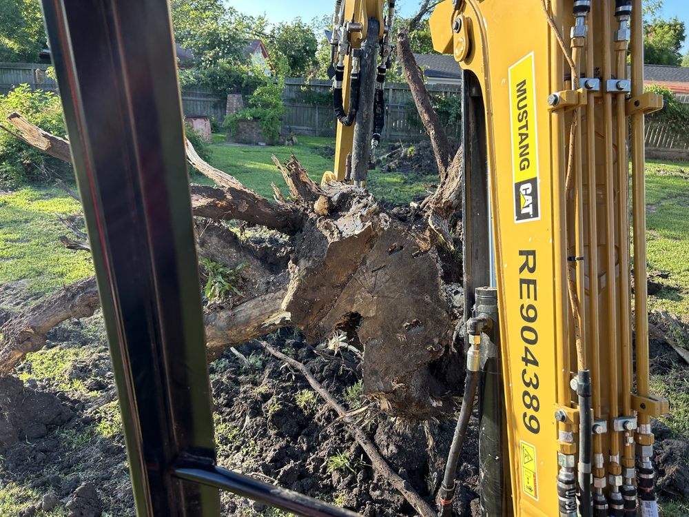 ALPHA TREES GROUP - Updated July 2024 - Houston, Texas - Tree Services ...