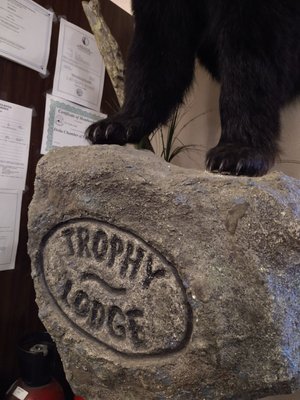 TROPHY LODGE - Updated December 2025 - 16 Photos & 14 Reviews - 1420 ...