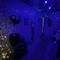 ALLUSION BAR - Updated April 2026 - 238 Photos & 91 Reviews - 323 N ...