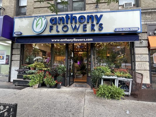 ANTHONY FLOWERS - Updated January 2026 - 50 Photos & 51 Reviews - 4034 ...