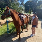 THE DINGLE FAMILY FARM AND STABLES - 501 Photos & 34 Reviews - Petting ...