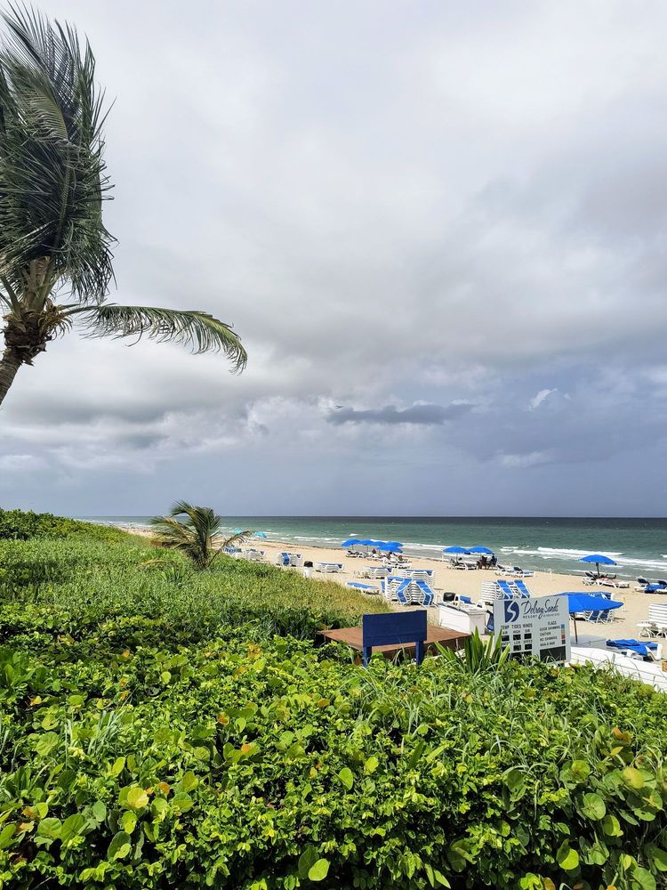 HIGHLAND BEACH - Updated January 2026 - 11 Photos - 3614 S Ocean Blvd ...