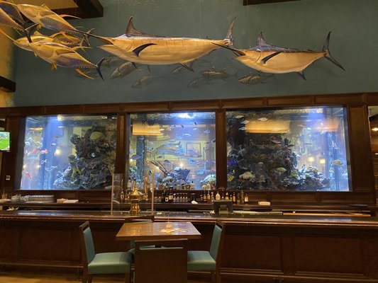 ISLAMORADA FISH COMPANY - Updated September 2024 - 108 Photos & 166 ...