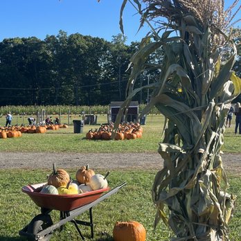 CONKLIN FARM U-PICK - Updated October 2025 - 105 Photos & 40 Reviews ...